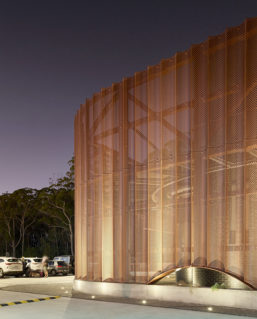 The Bower Tree • KP ARCHITECTS