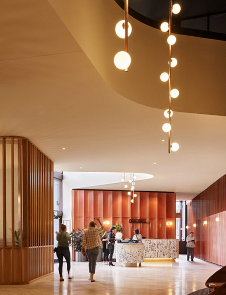 The Bower Tree • KP ARCHITECTS