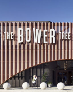 The Bower Tree • KP ARCHITECTS